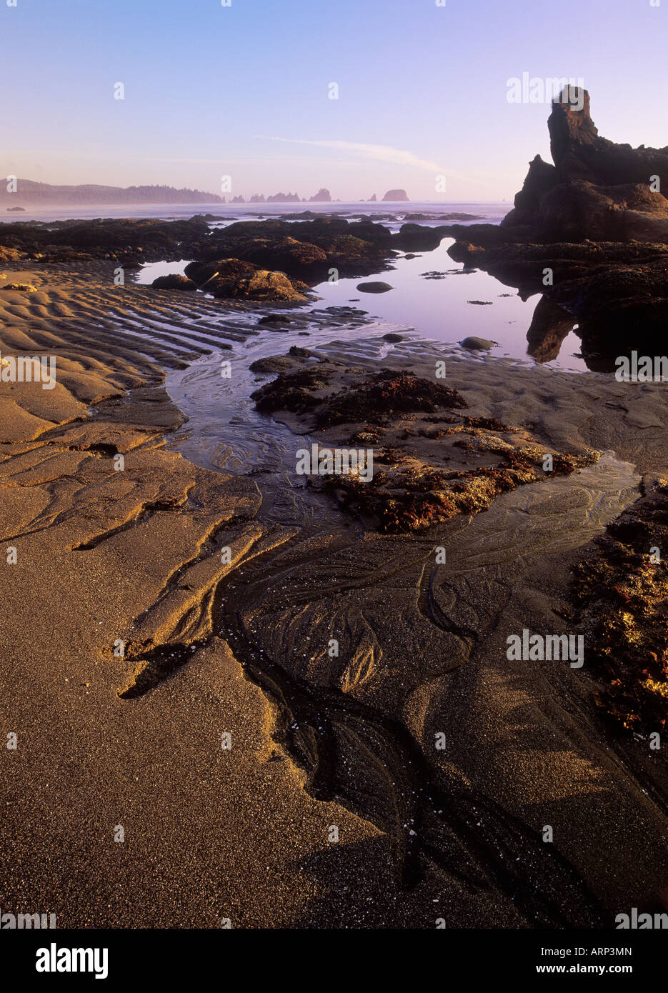 Washington state coast sunset hi-res stock photography and images - Alamy