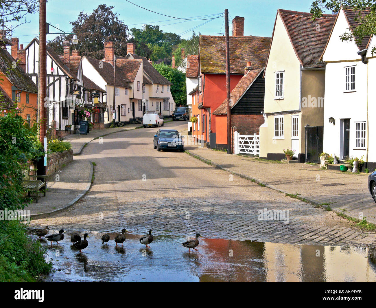 Ducks crossing the road via the ford in Kersey Suffolk England UK EU ...