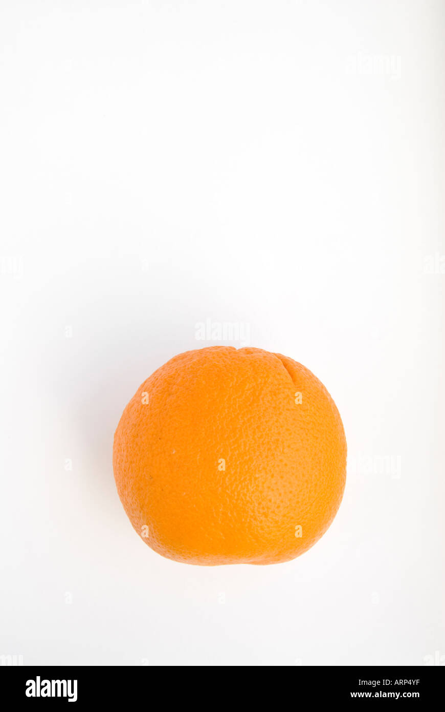 full orange on a white background Stock Photo - Alamy