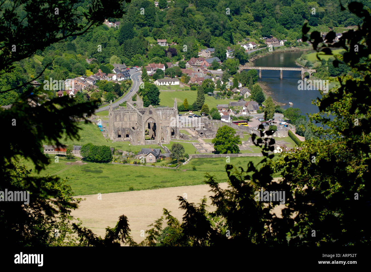 Tintern Abbey Wye Valley Stock Photo - Alamy