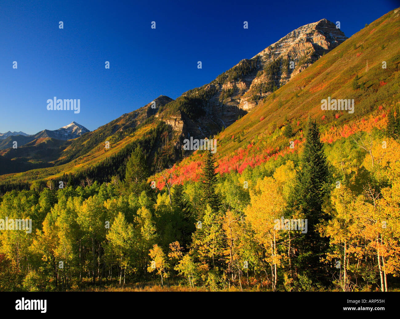 View from Alpine Loop, Provo, Utah, USA Stock Photo - Alamy