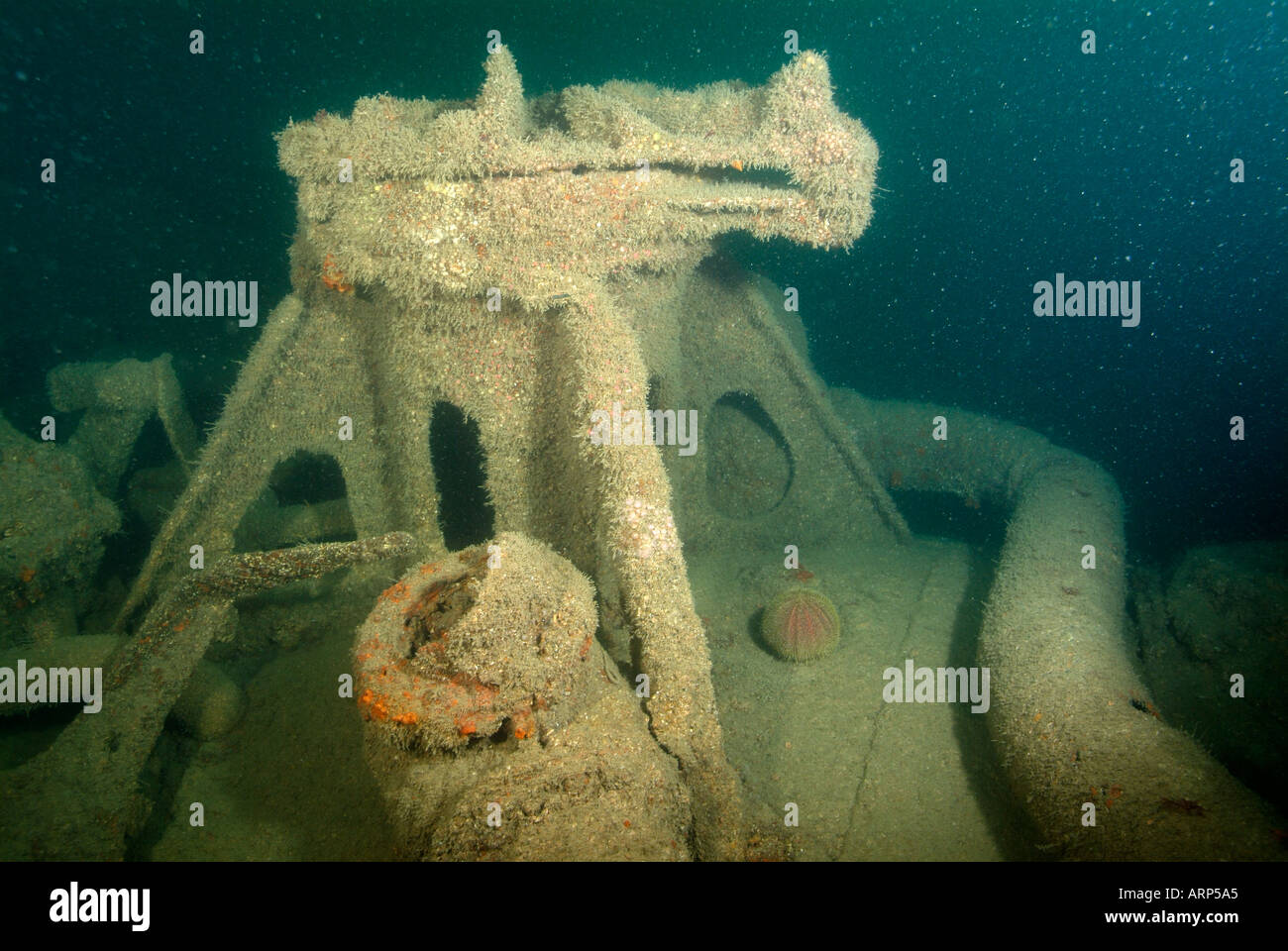 The U171 submarine wreck in Brittany Stock Photo - Alamy