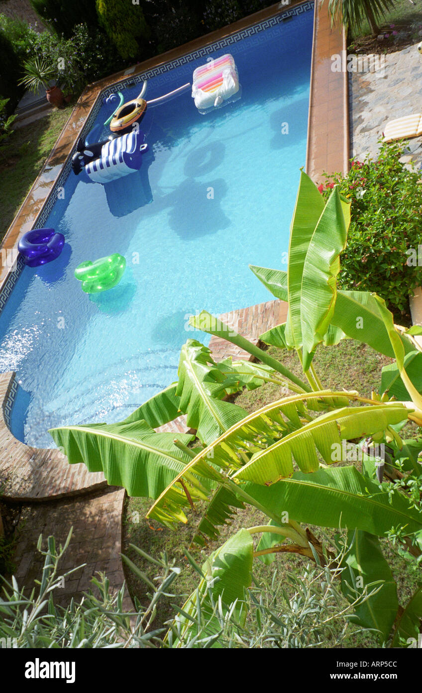 Swimming pool with inflatable toys in it and green banana plant leaves ...