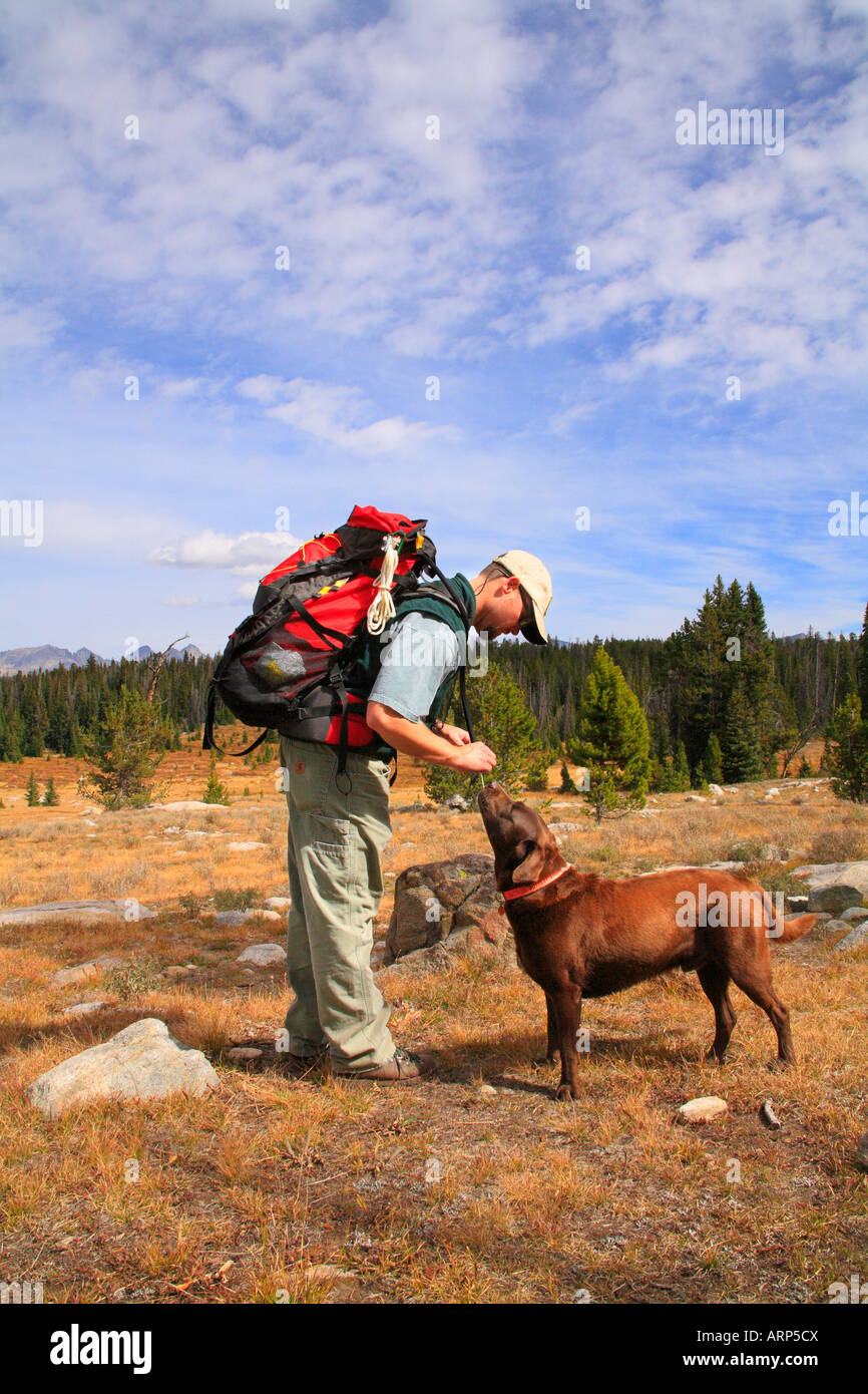 Camelback back drinks drink thirst quench hi-res stock photography and ...