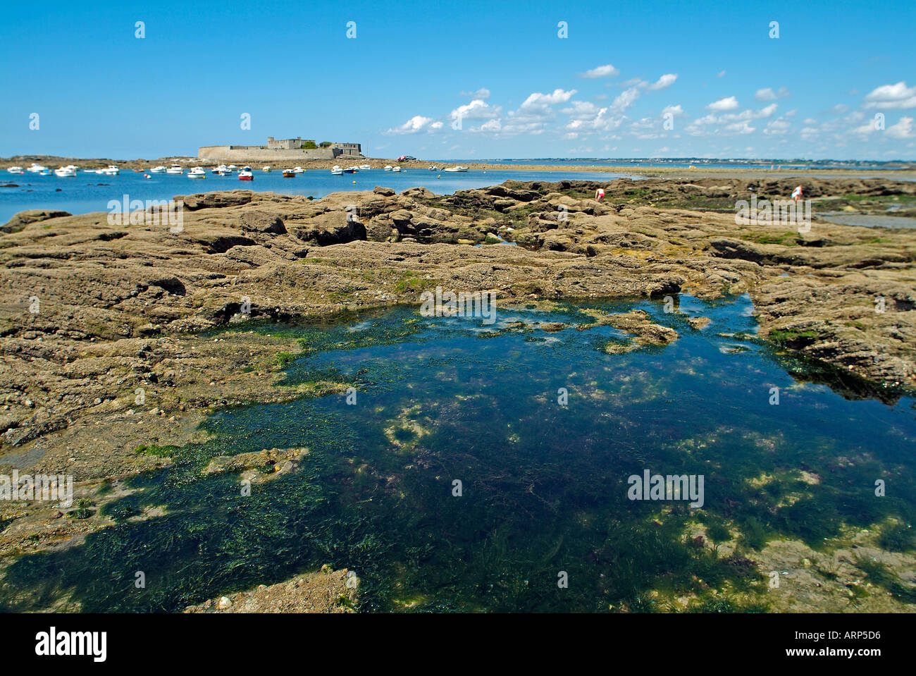 Granite beach in Brittany Stock Photo - Alamy