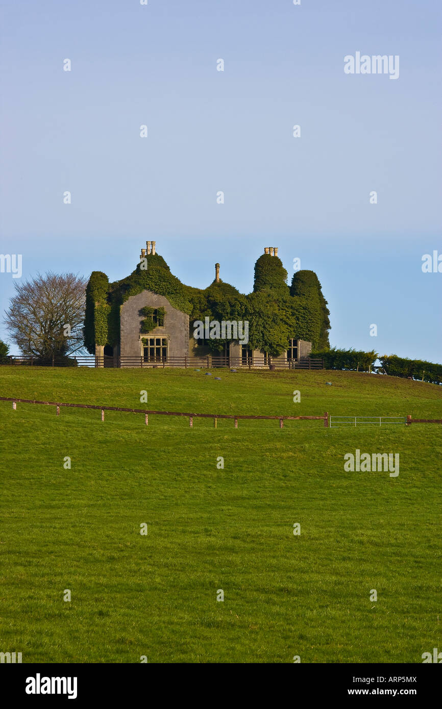 Deserted overgrown house ivy hi-res stock photography and images - Alamy