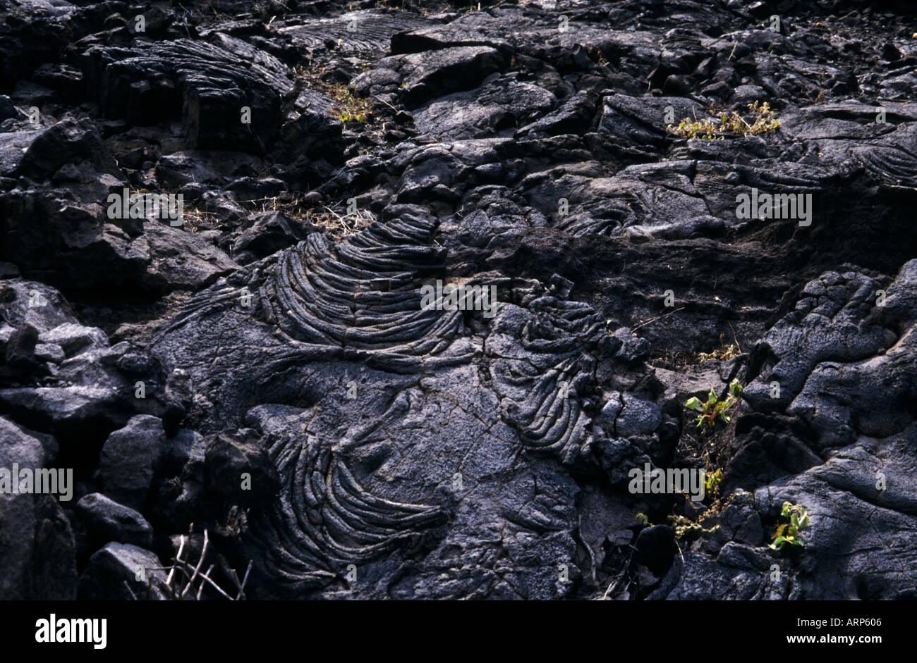 Mafic magma hi-res stock photography and images - Alamy