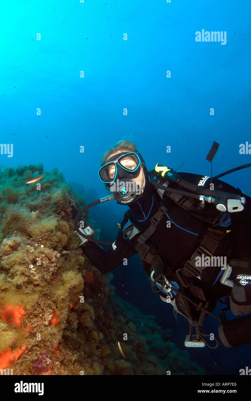 Female diver in Mediterranean sea Stock Photo - Alamy