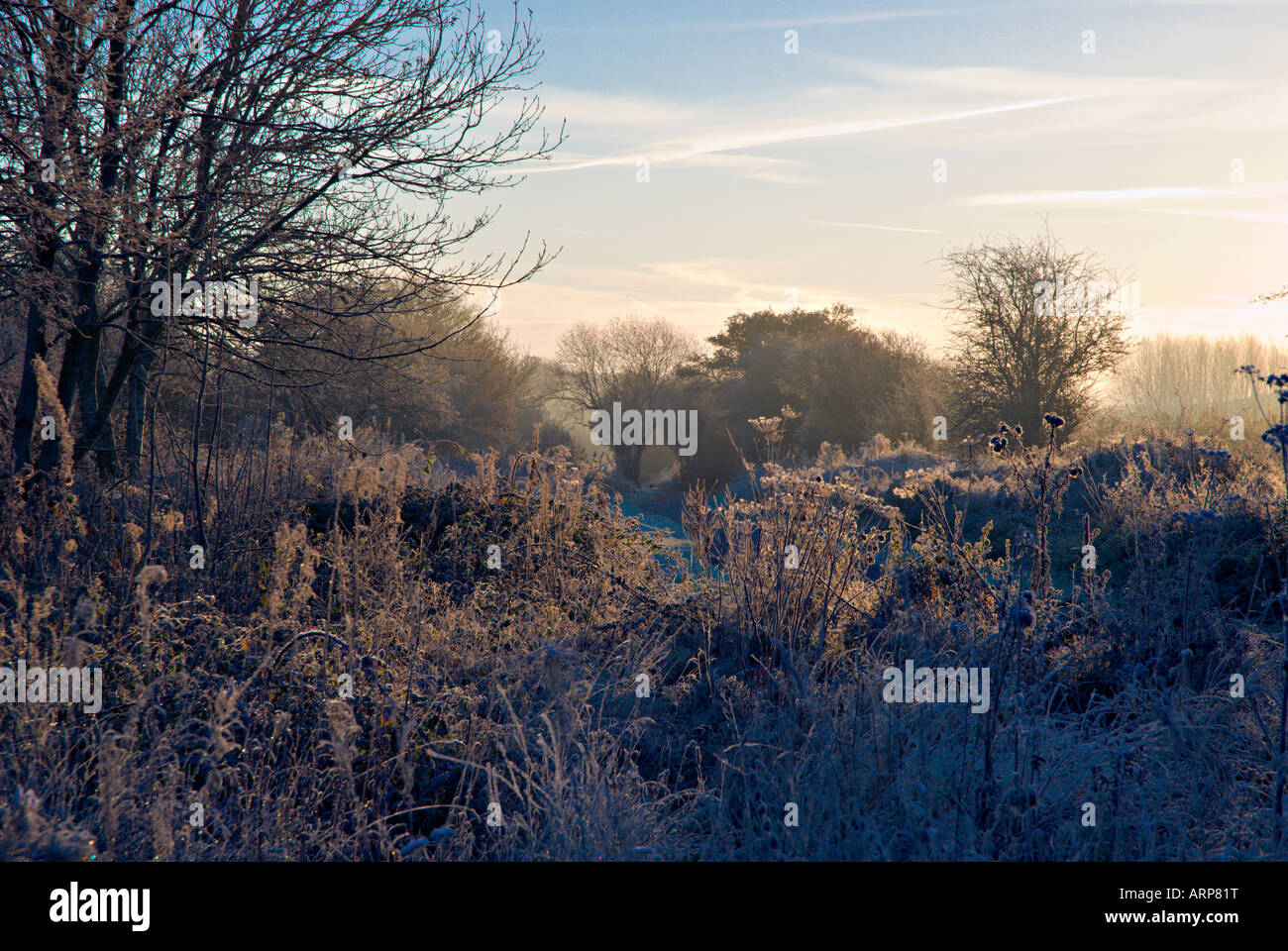 Colliers way cycle track on a frosty morning Stock Photo - Alamy