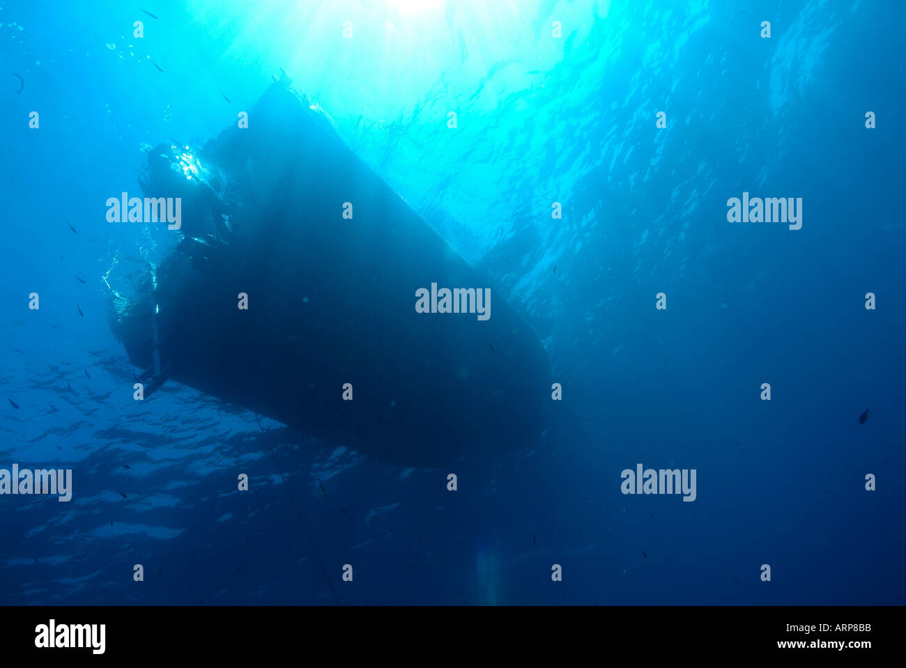 Shadow of a diving boat in the Mediterranean sea Stock Photo - Alamy