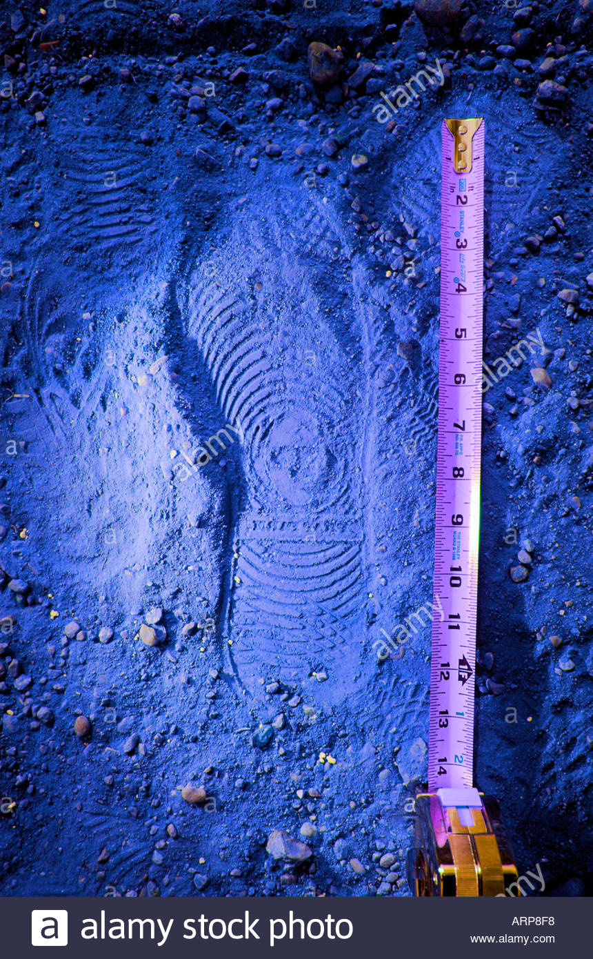 Shoe Print Crime Scene High Resolution Stock Photography and Images - Alamy