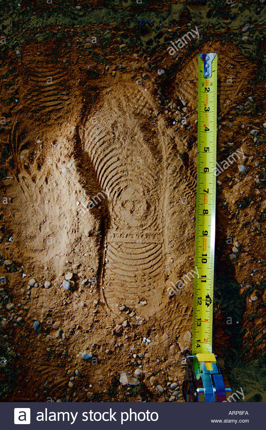 Crime Scene Evidence Footprint High Resolution Stock Photography and ...