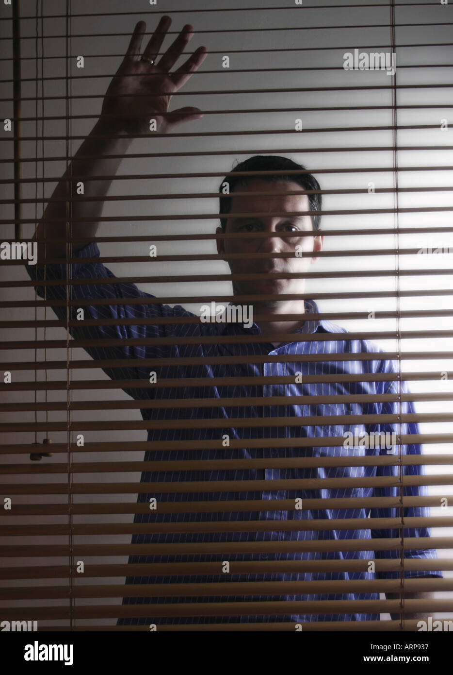 Man looking for recognition through window blinds Stock Photo - Alamy