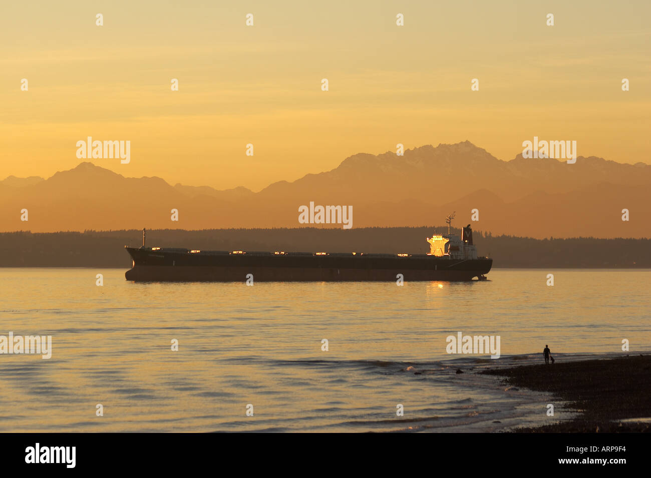 Man and boy on beach with grain tanker ship at anchor in Elliott Bay on ...