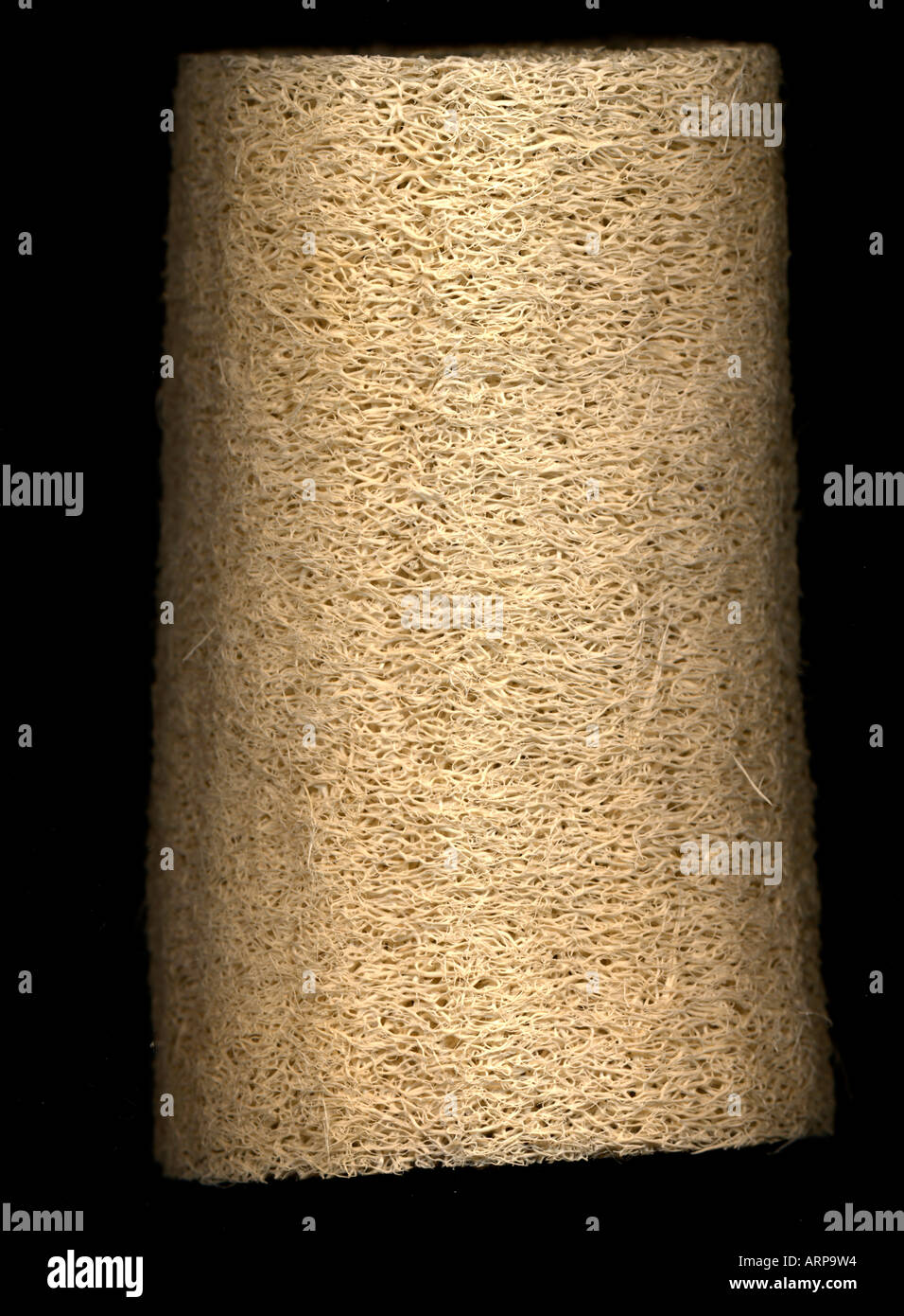 Smooth loofah hi-res stock photography and images - Alamy