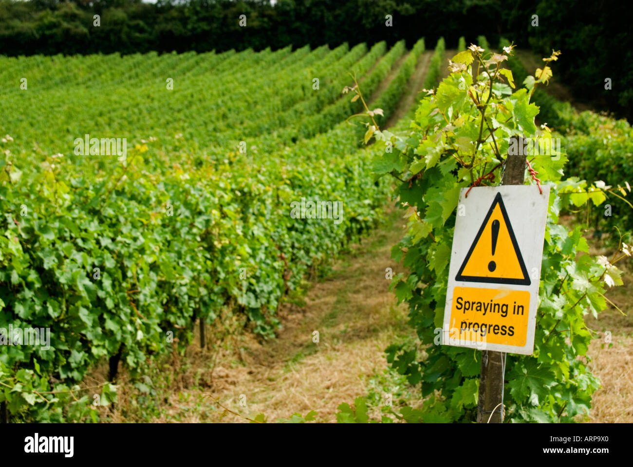Spraying pesticide vineyard hi-res stock photography and images - Alamy