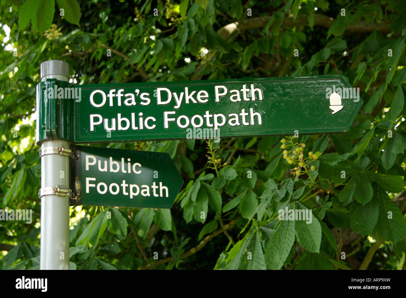 Sign on Offa s Dyke National Trail by Brockwier Stock Photo - Alamy