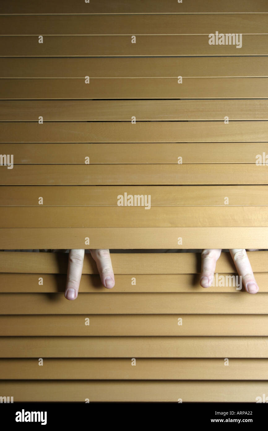 Four fingers sticking through a window blind Stock Photo - Alamy