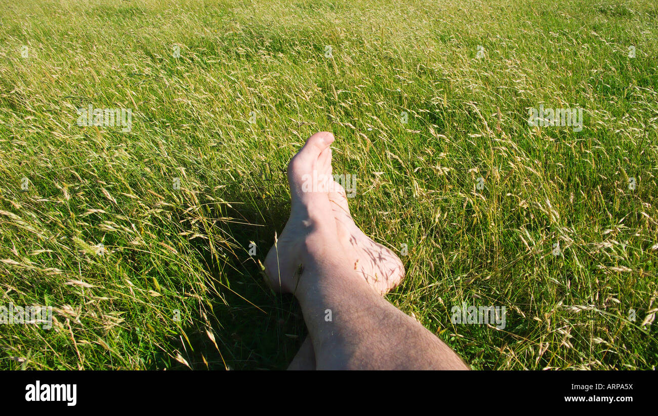 relaxing in a grassy field Stock Photo - Alamy