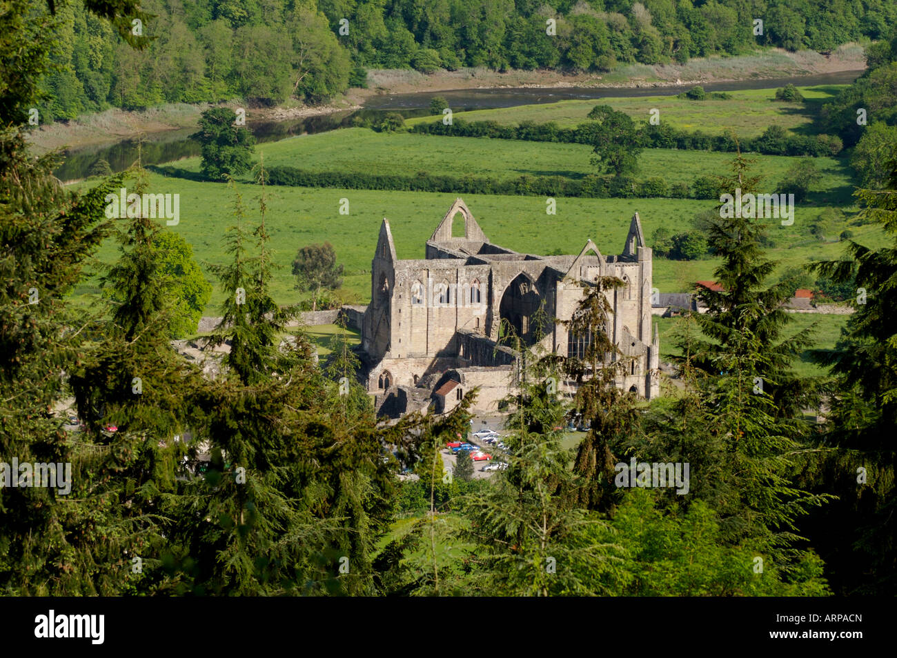 Tintern Abbey Wye Valley Stock Photo - Alamy
