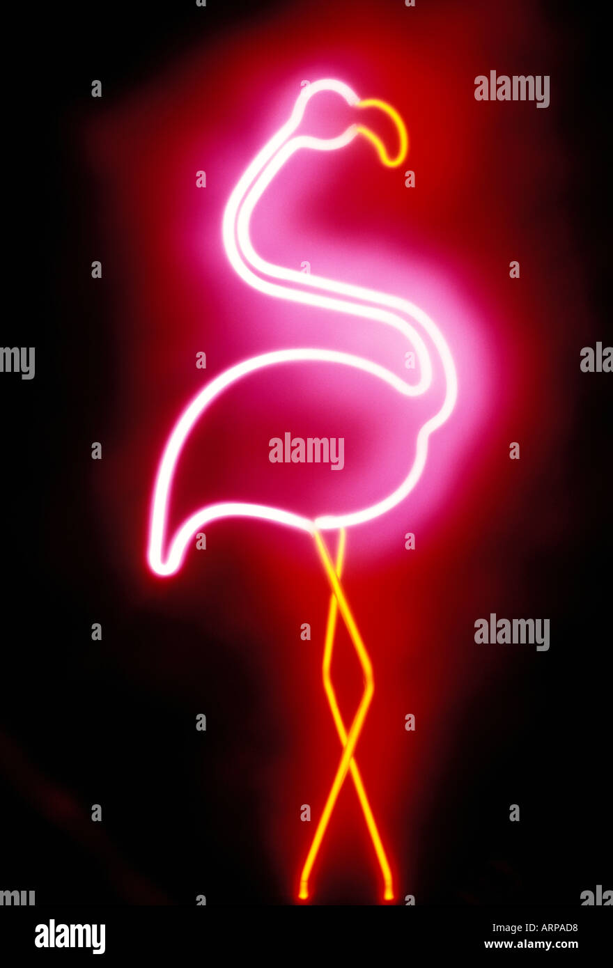 Neon pink flamingo Stock Photo - Alamy