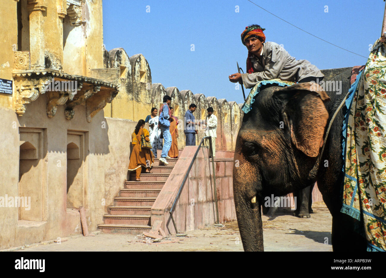 Elephant rides at the Amber Fort, Jaipur, Rajasthan, India Stock Photo ...