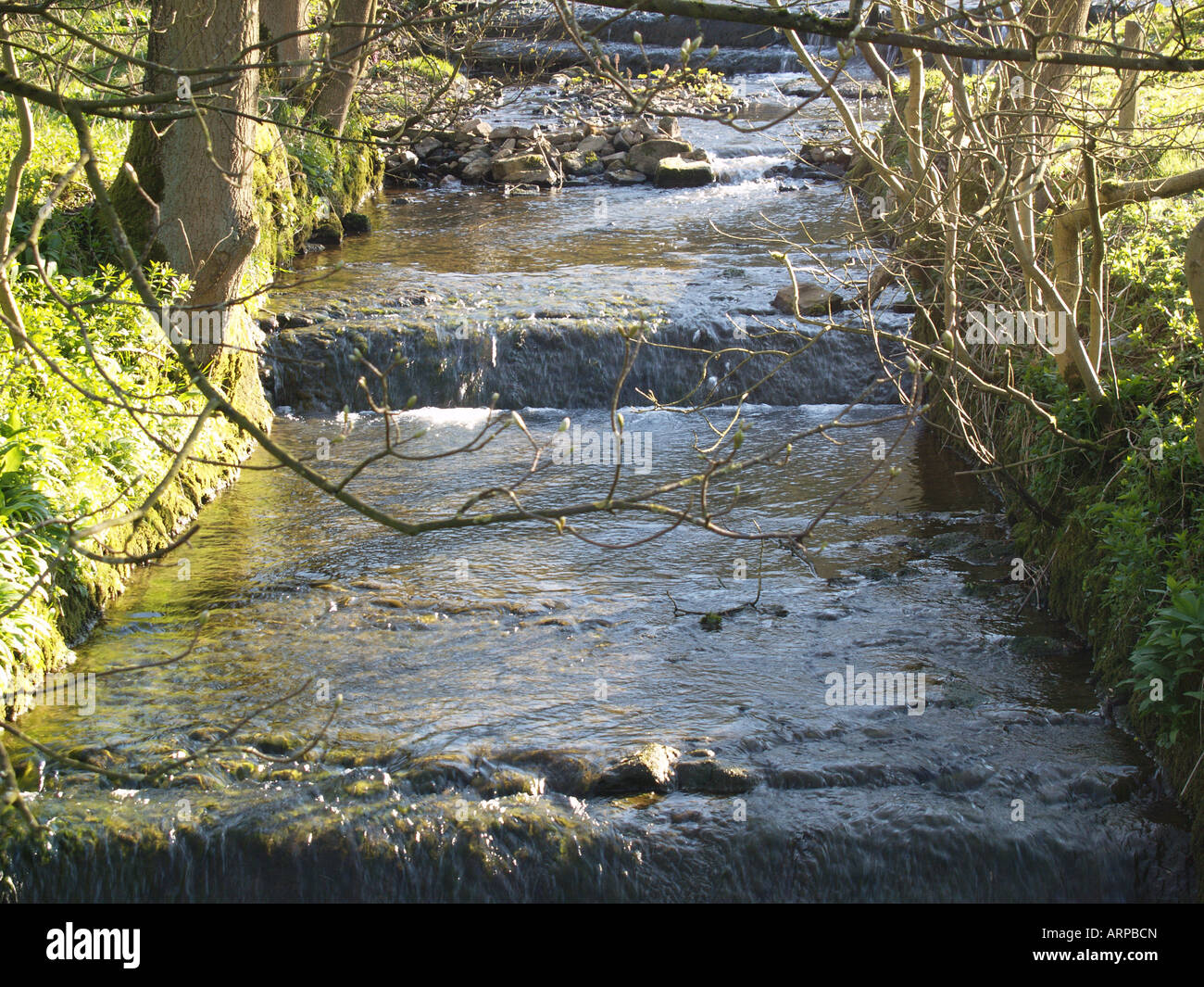 stepped fast flowing upland freshwater stream Stock Photo - Alamy