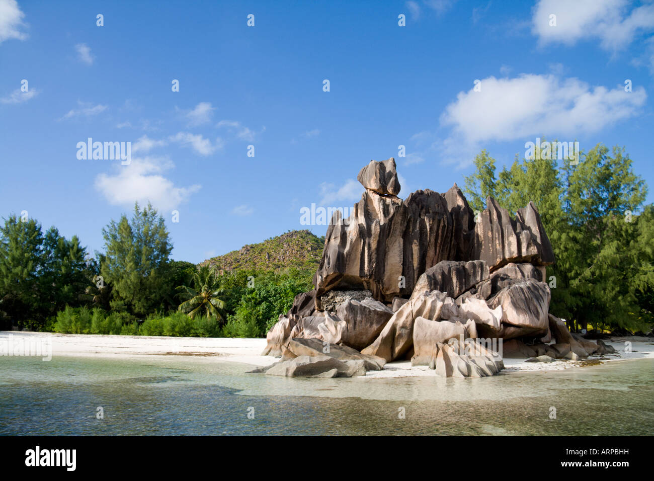 Seychelles frog hi-res stock photography and images - Alamy