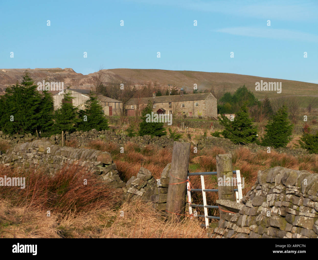 Greenhow plantation hi-res stock photography and images - Alamy