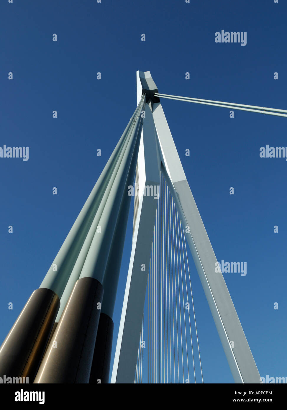 Erasmus Bridge Construction