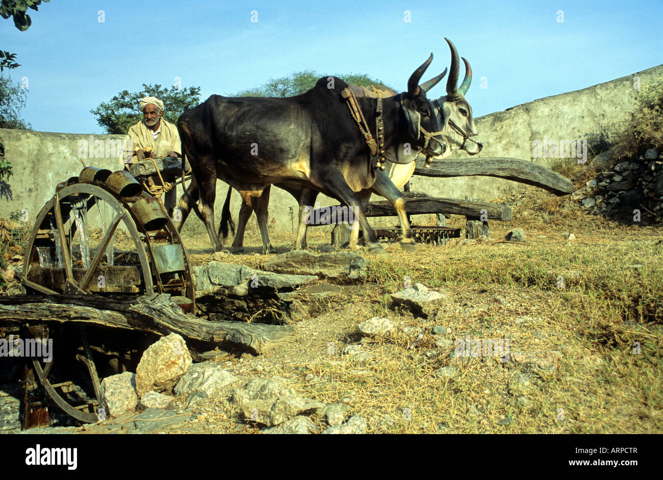 Water wheel india hi-res stock photography and images - Alamy