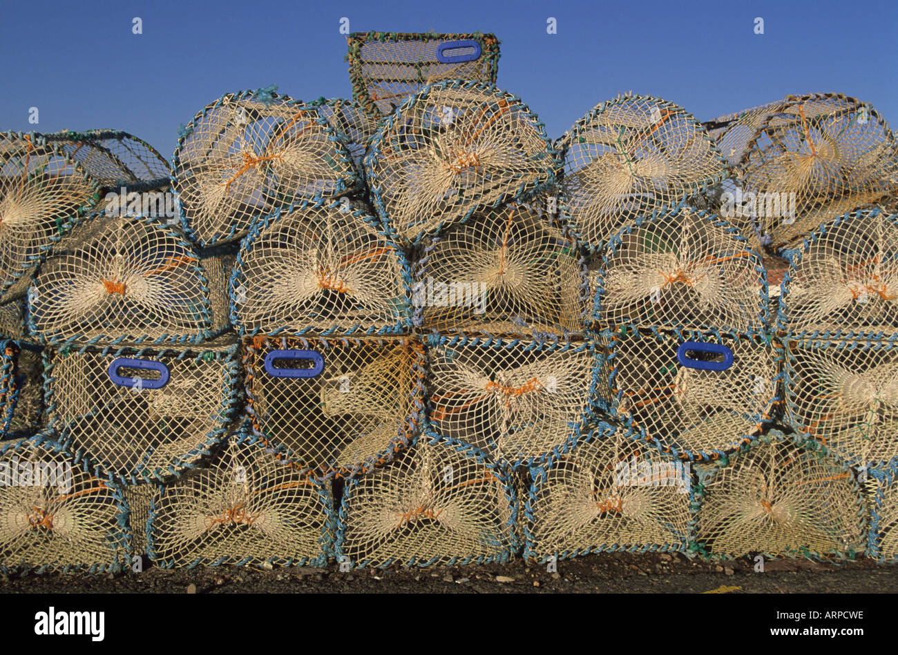 Specially adapted creel pots for langostines at suatainable MSC ...