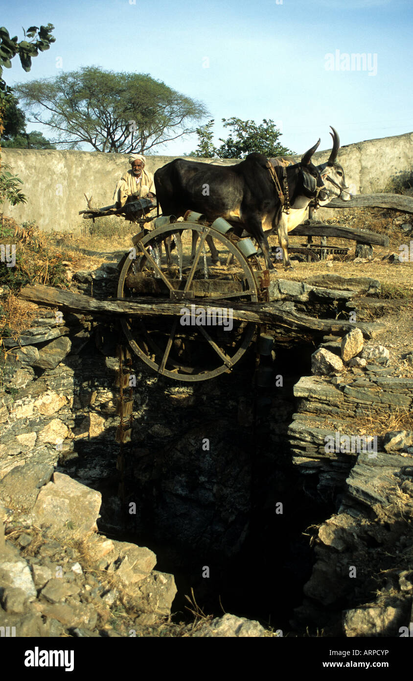 Water wheel india hi-res stock photography and images - Alamy