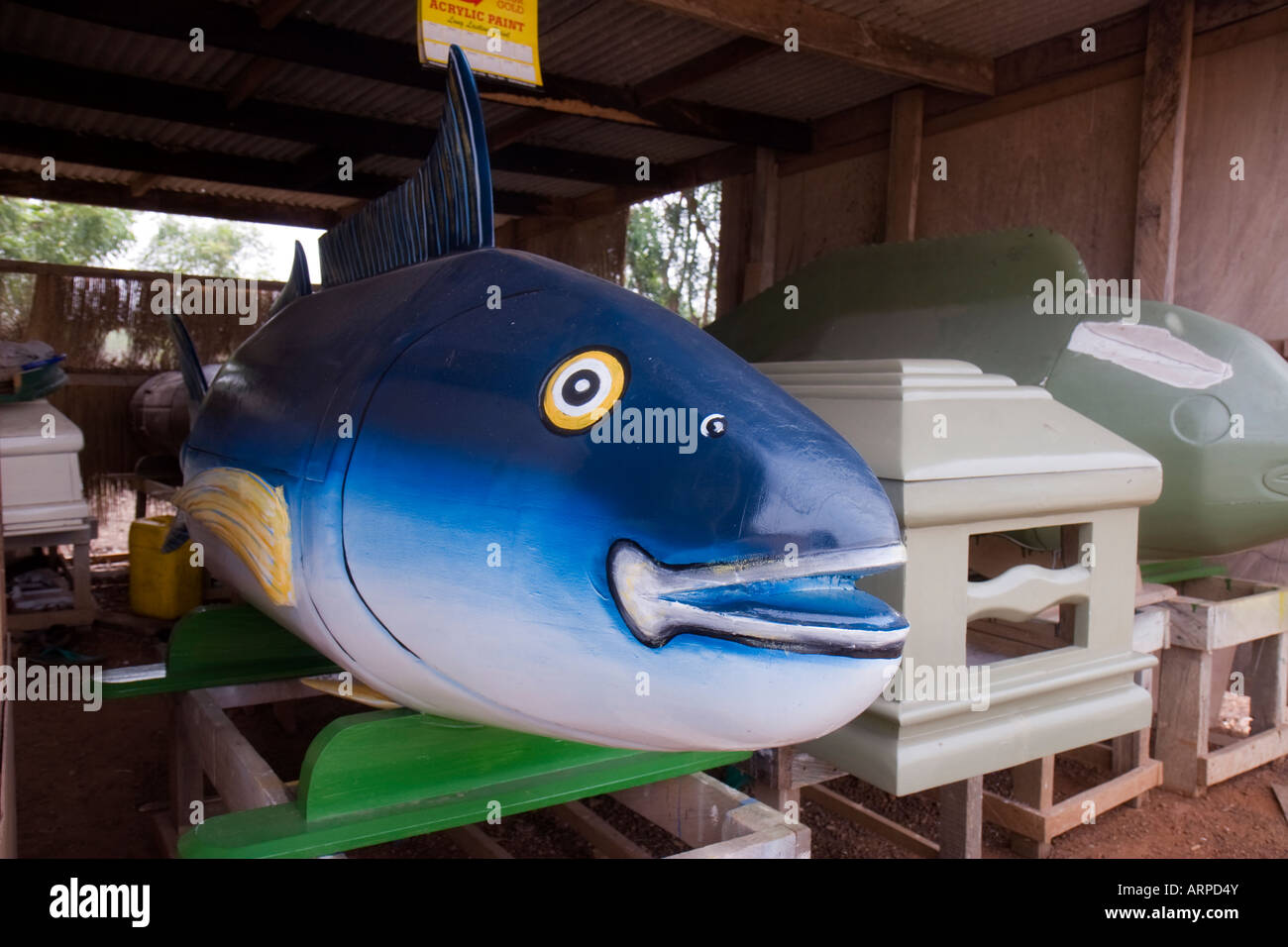 Coffin shaped fish hi-res stock photography and images - Alamy