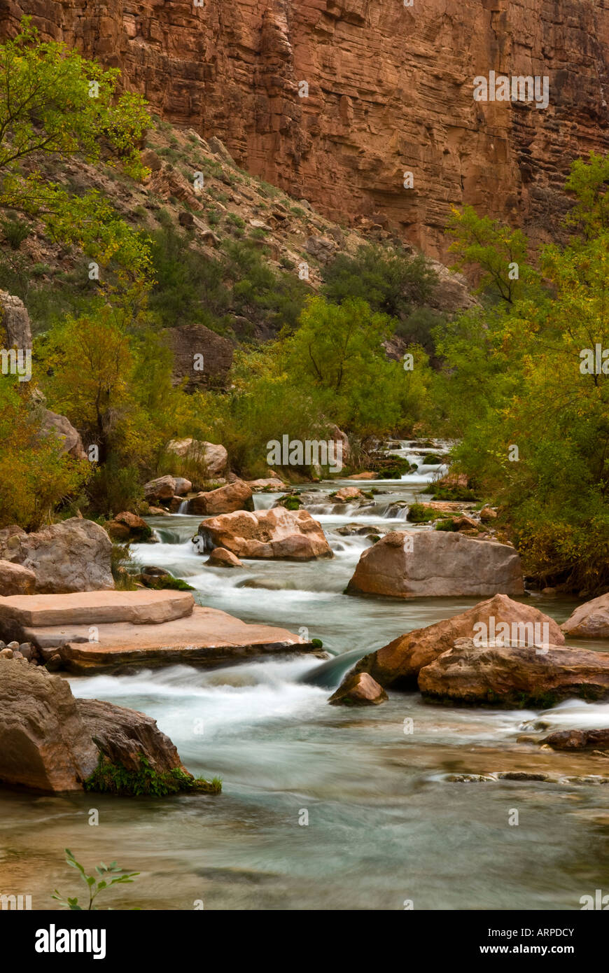 Autumn colors line Havasu Creek Canyon on the Colorado River in the ...