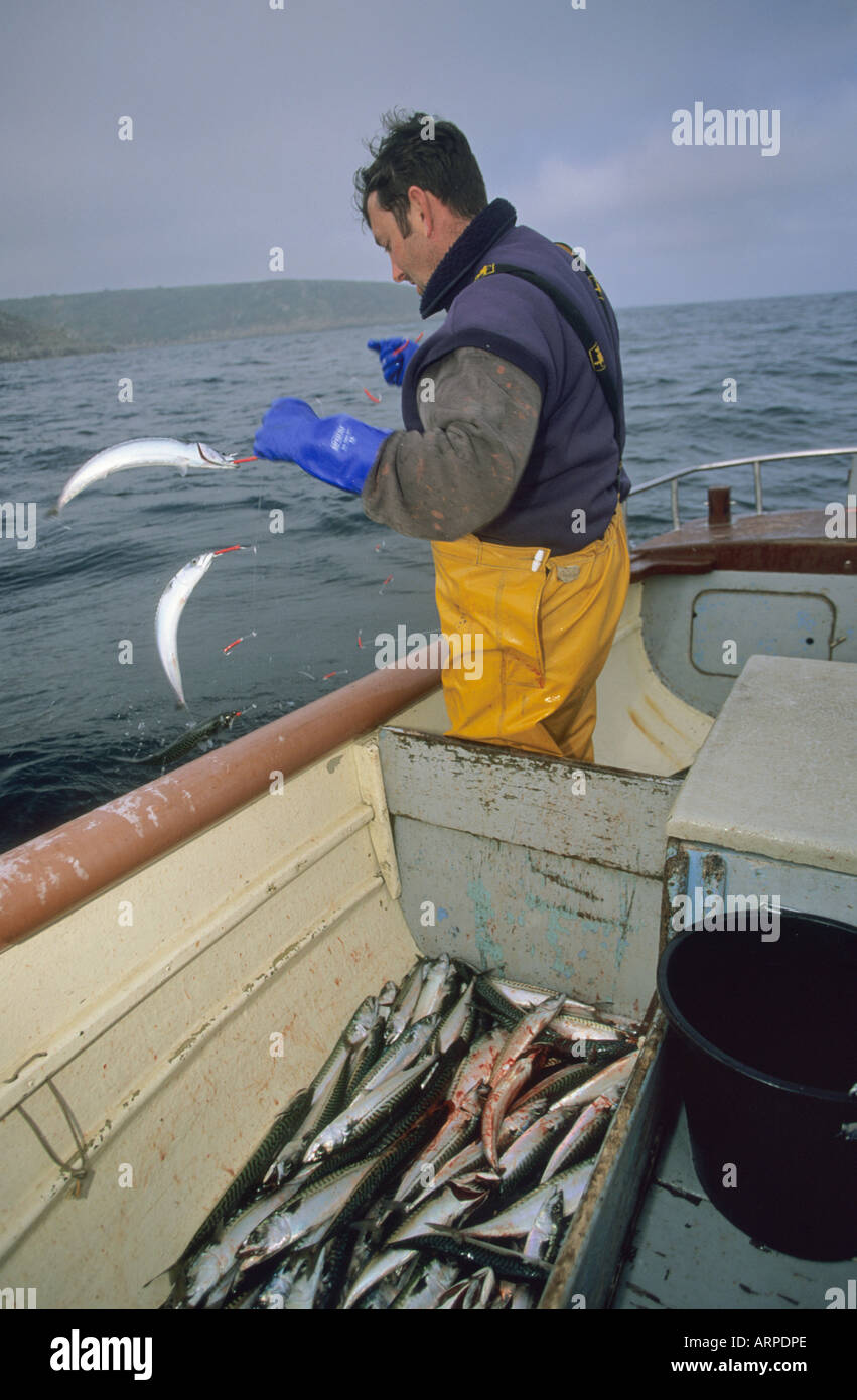 Handline fishing for mackerel off the coast of Cornwall near Newlyn MSC ...
