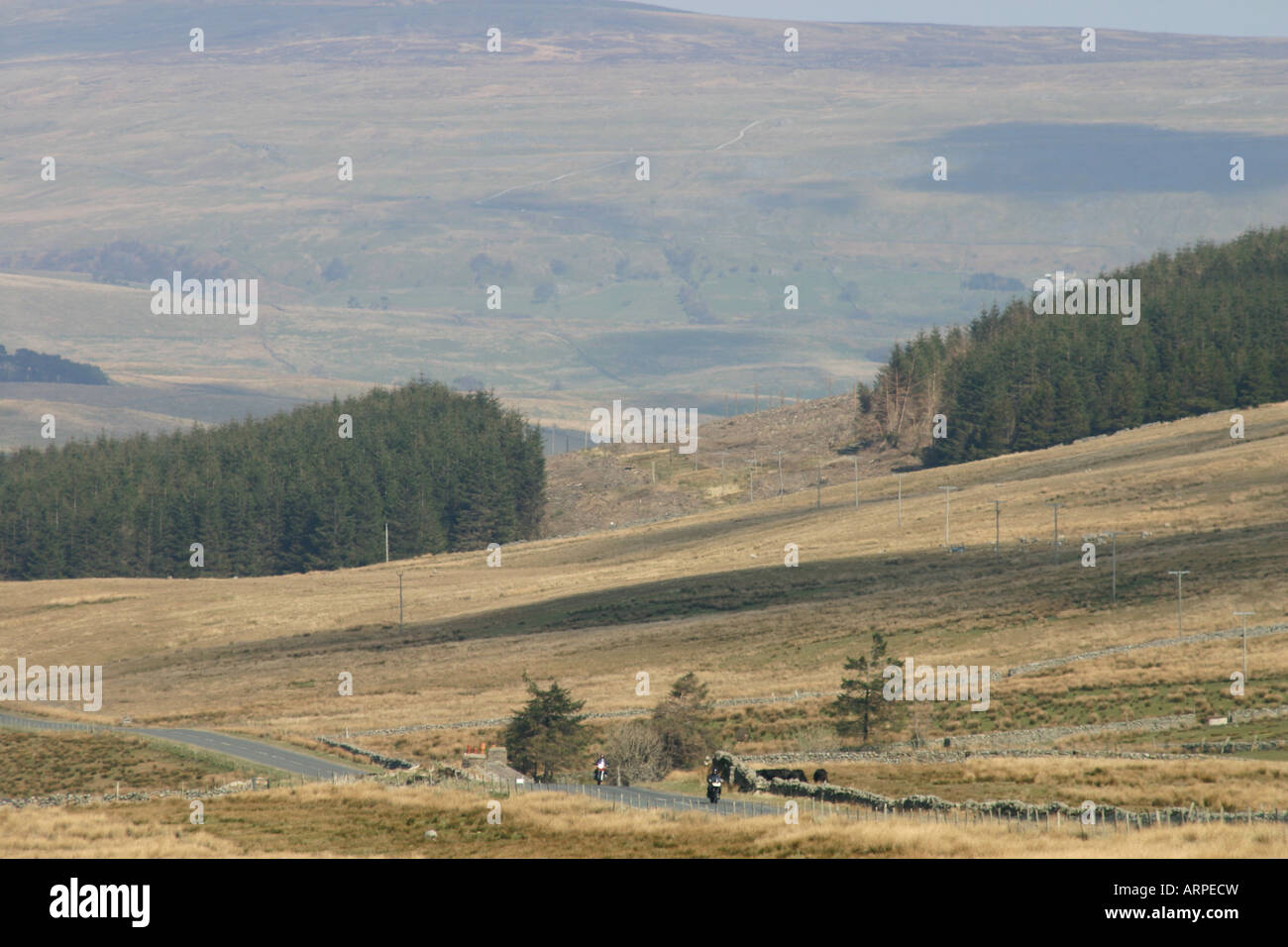 woodland woods peak coppice trees hill farming Stock Photo - Alamy
