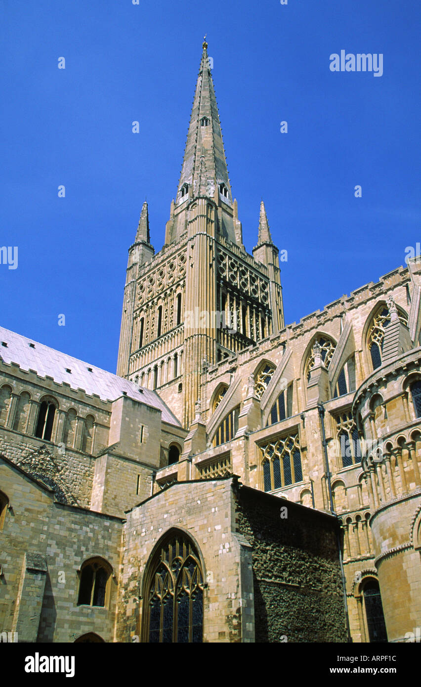 Historical stone norwich cathedral hi-res stock photography and images ...