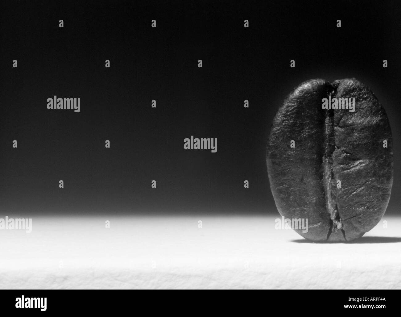 closeup image of dried roasted coffee bean standing alone shot in ...