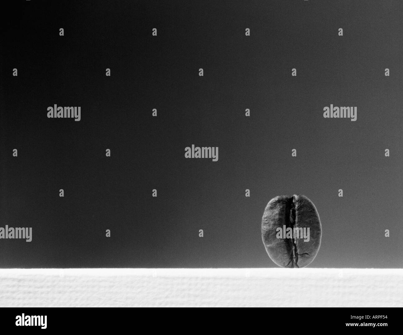 image of a dried roasted coffee bean standing alone shot in studio ...