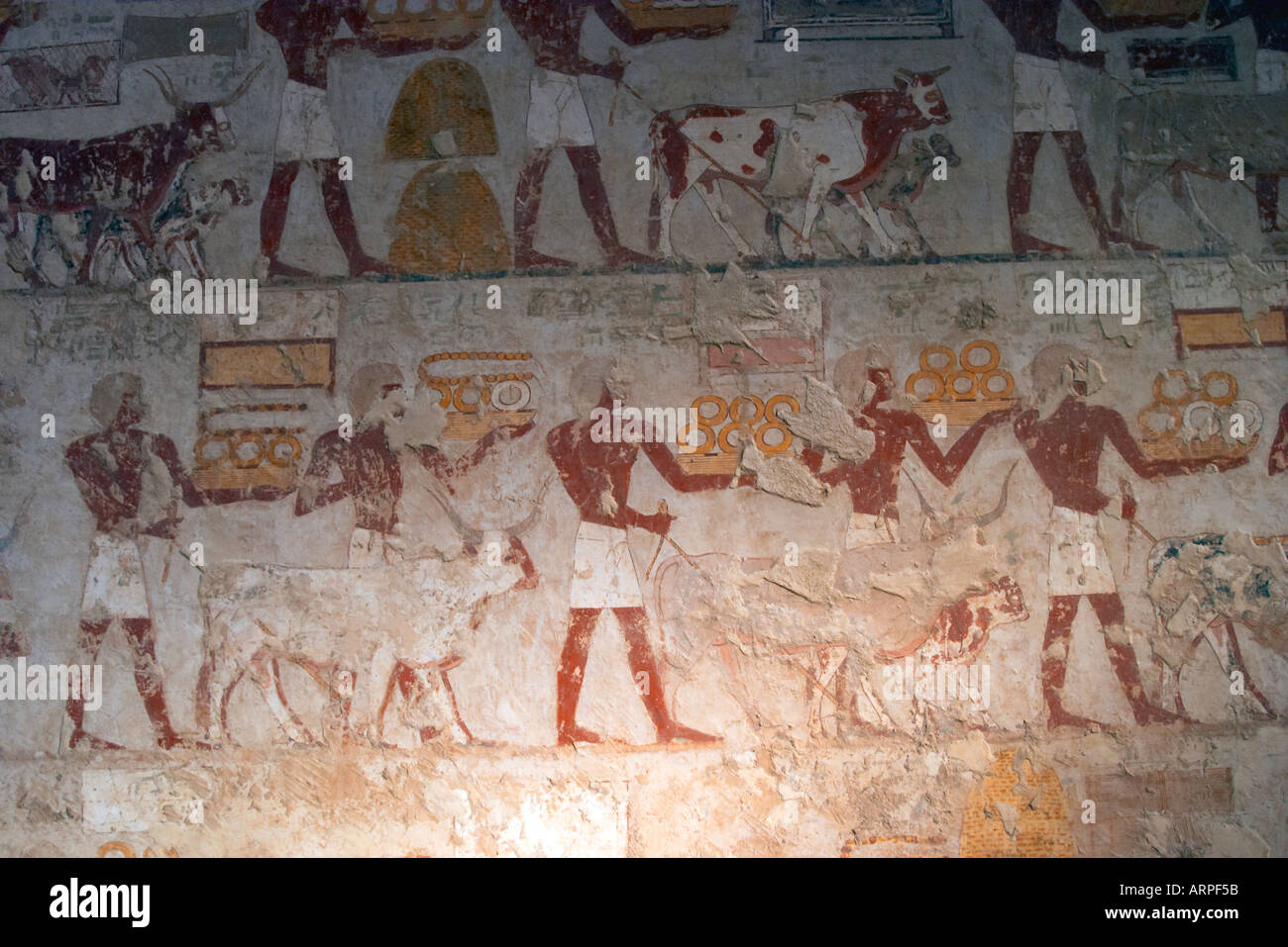 Tomb of rekhmire hi-res stock photography and images - Alamy