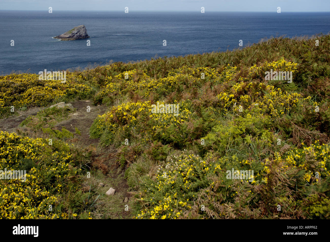Day seacoast hi-res stock photography and images - Alamy