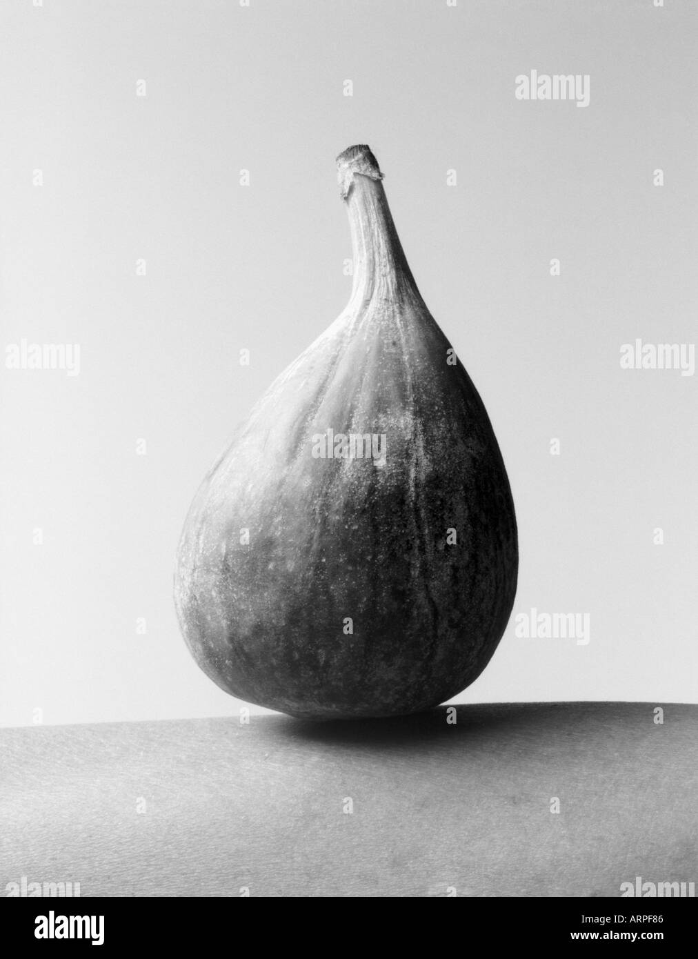 Fig scale Black and White Stock Photos & Images - Alamy