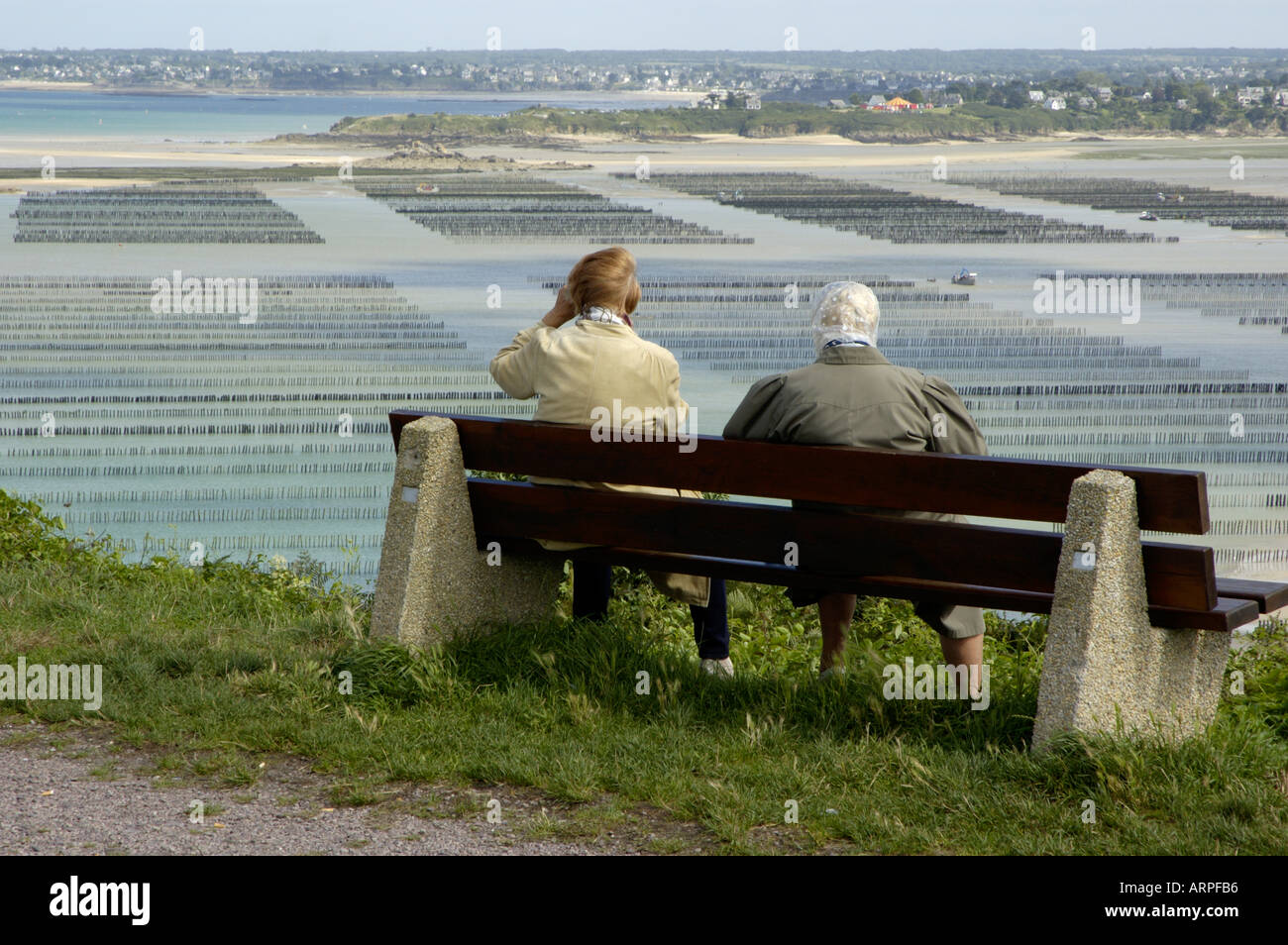 Mussel Bench High Resolution Stock Photography and Images - Alamy