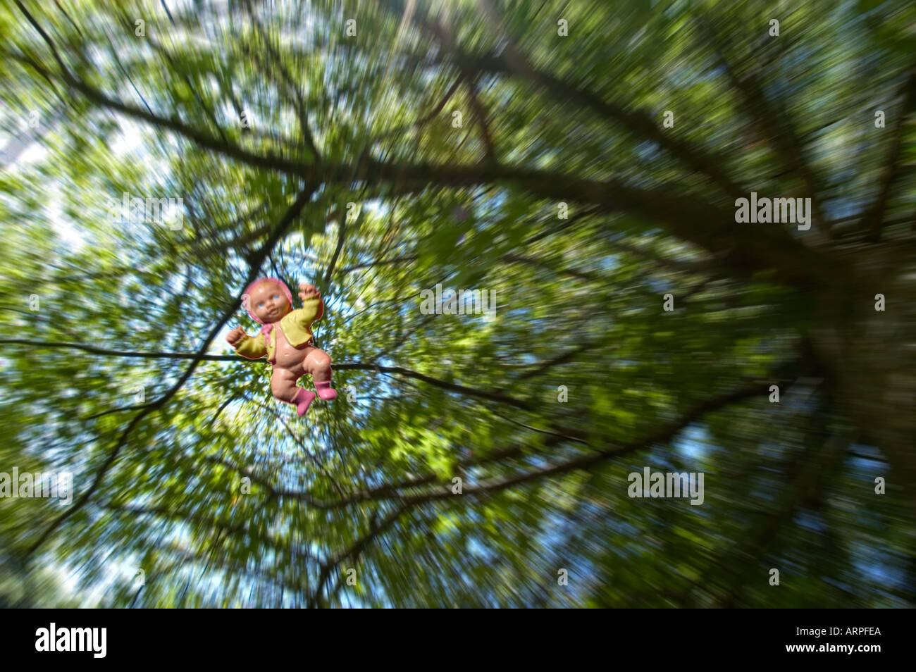 Doll Falling From Tree Stock Photo - Alamy