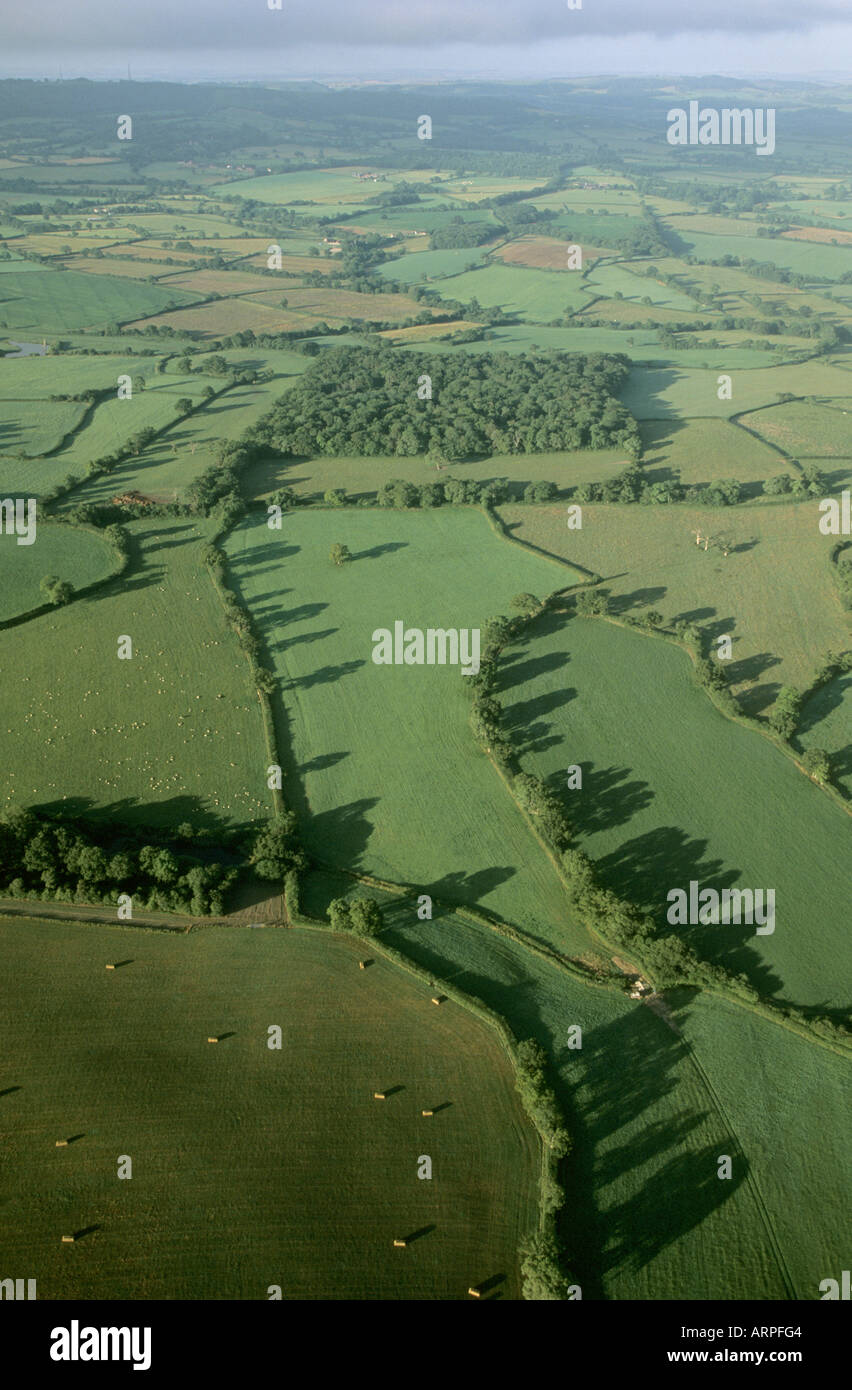 Aerial view of ancient field systems in North Dorset, showing hedges ...