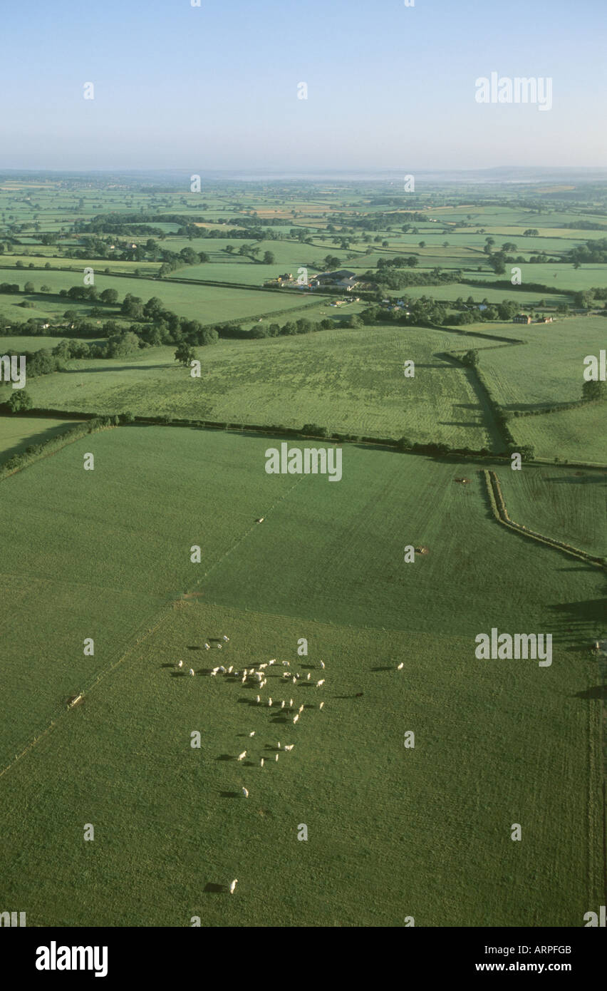 Aerial view of ancient field systems in North Dorset, showing hedges ...