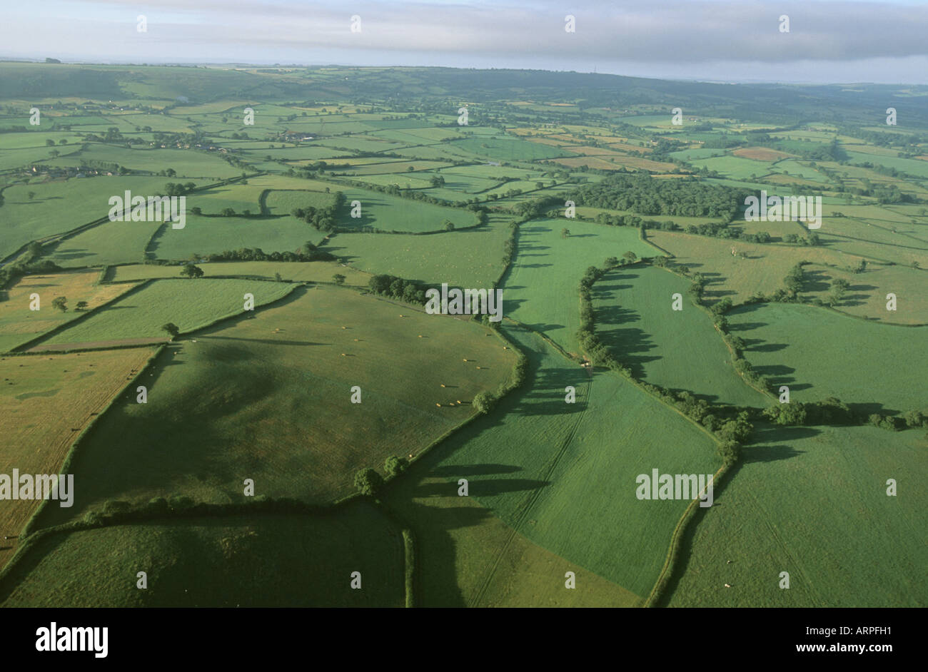 Aerial view of ancient field systems in North Dorset, England, UK ...