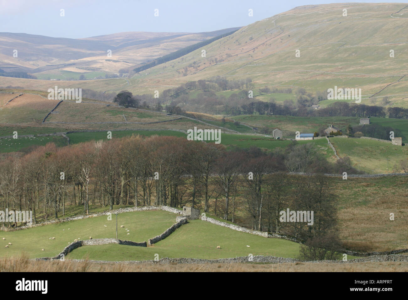 woodland woods peak coppice trees hill farming Stock Photo - Alamy