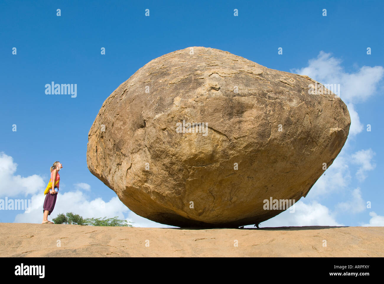 Butterball hi-res stock photography and images - Alamy